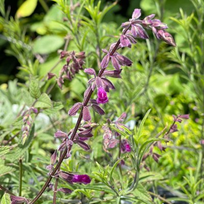 The Grove Country Gardens Home